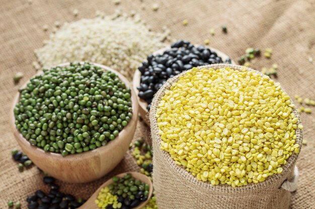 Buy Indoor Plants Online in India for Home Garden - Kumaun Plants