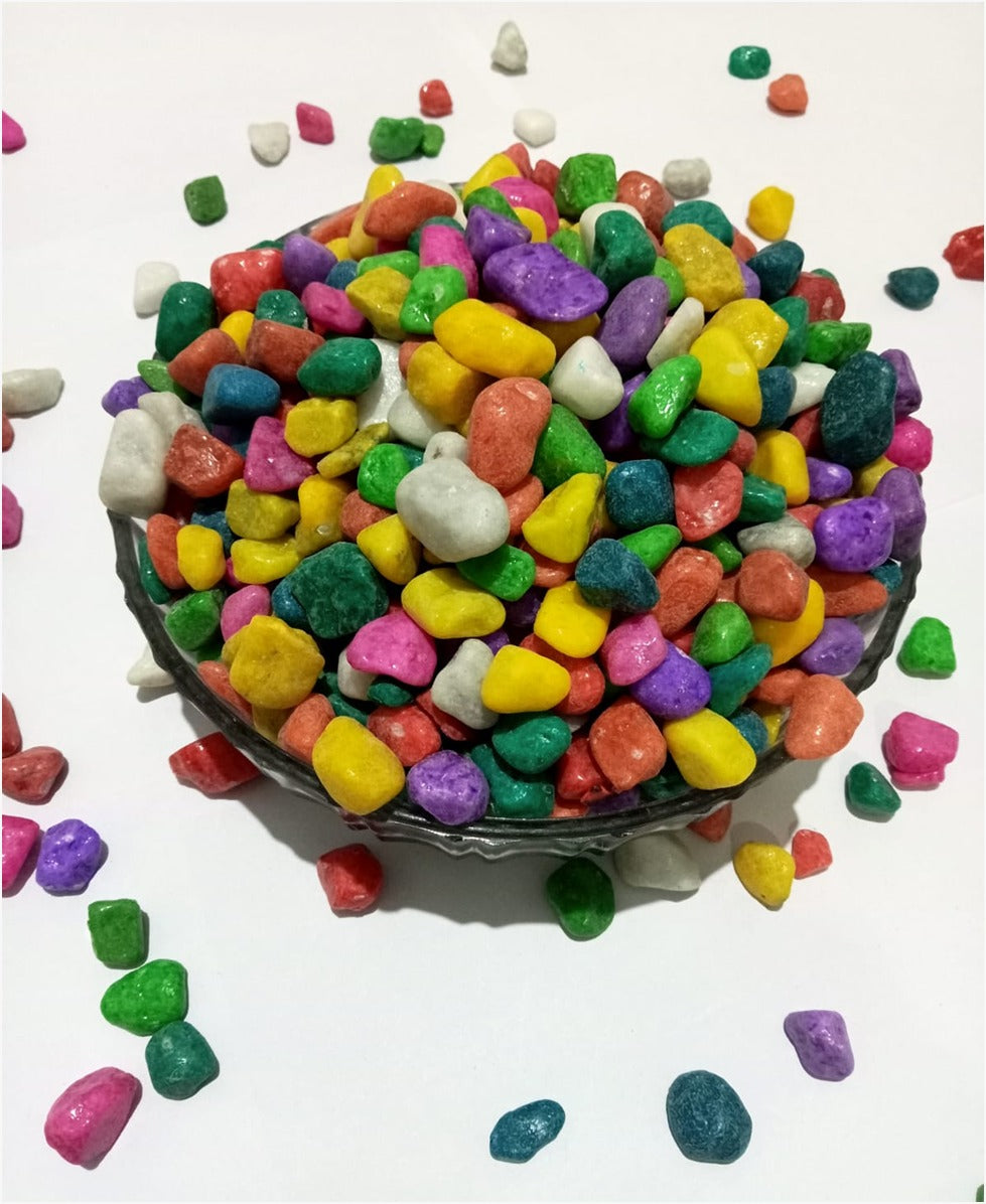 Multicolor Pebbles (Pack of 250gm) – Kumaun Plants