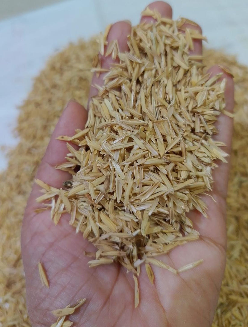 Rice Husk (20gm) – Kumaun Plants