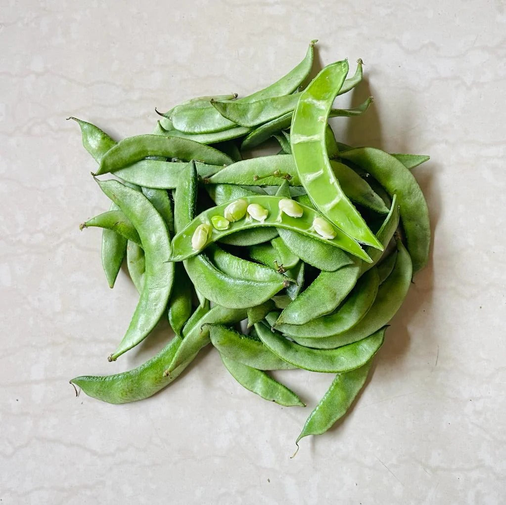 Sem Fali (Hybrid Seeds) – Kumaun Plants