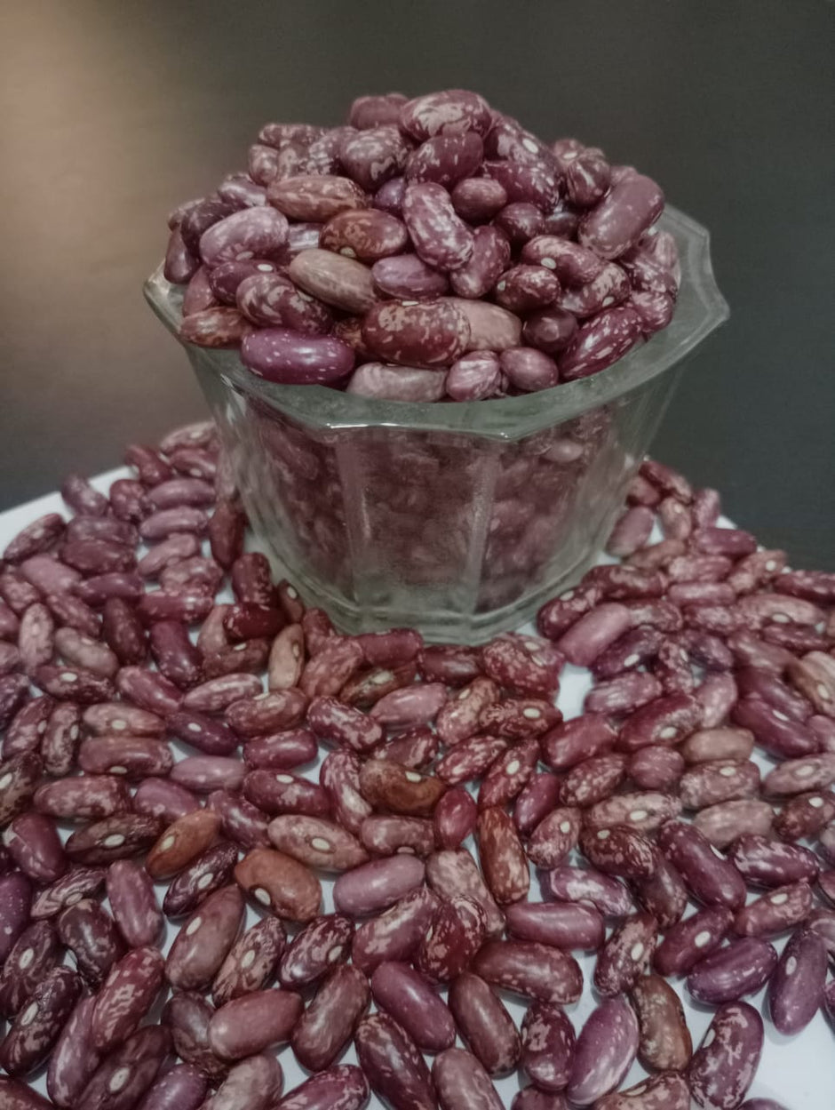 Pulses – Kumaun Plants